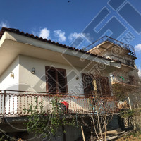 BABRRU TIRANE.... rif. 925845 - Gazeta Celesi